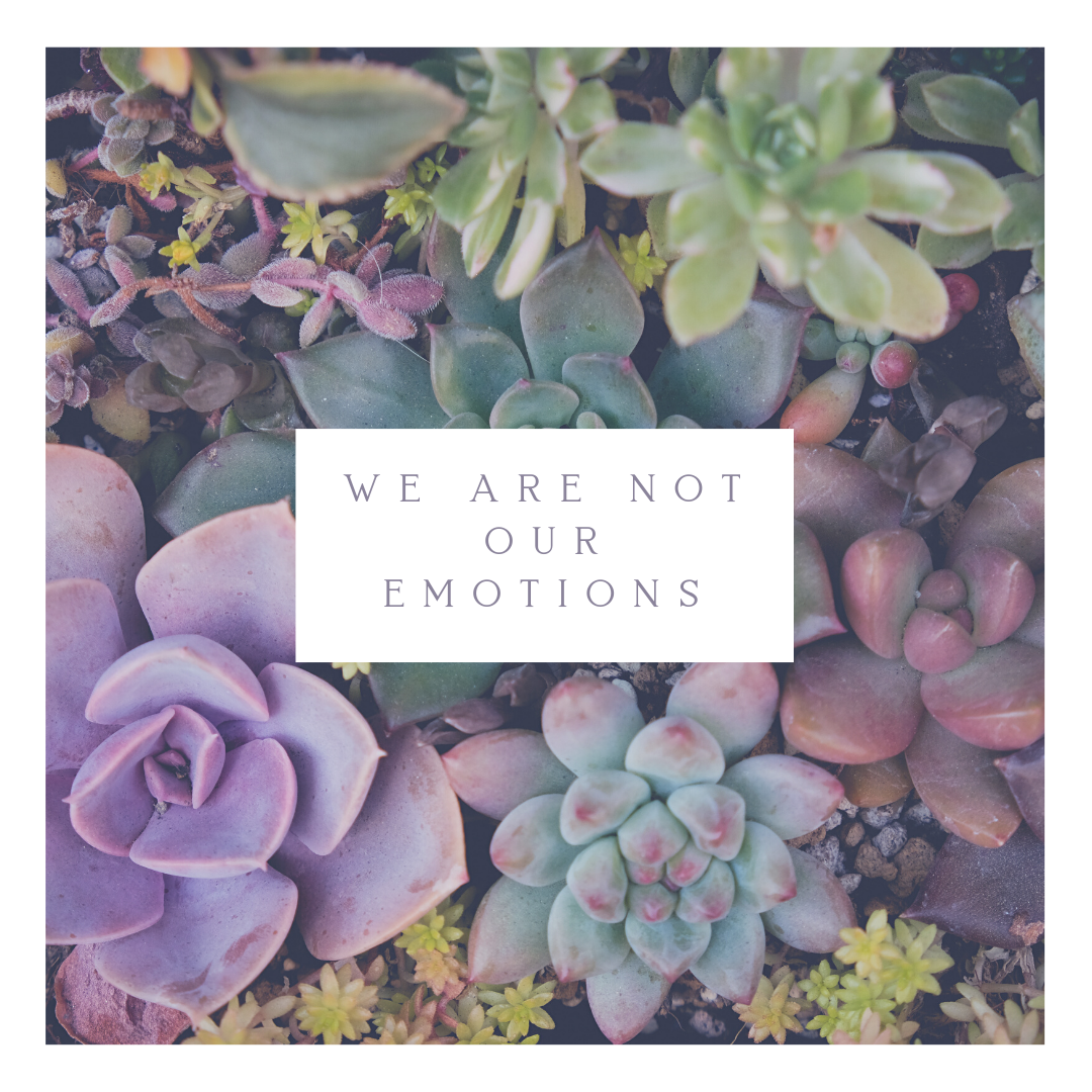 We are NOT our Emotions – Thoughtful Pours